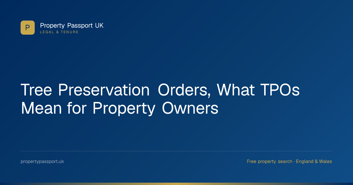 Tree Preservation Orders, What TPOs Mean for Property Owners | Property ...